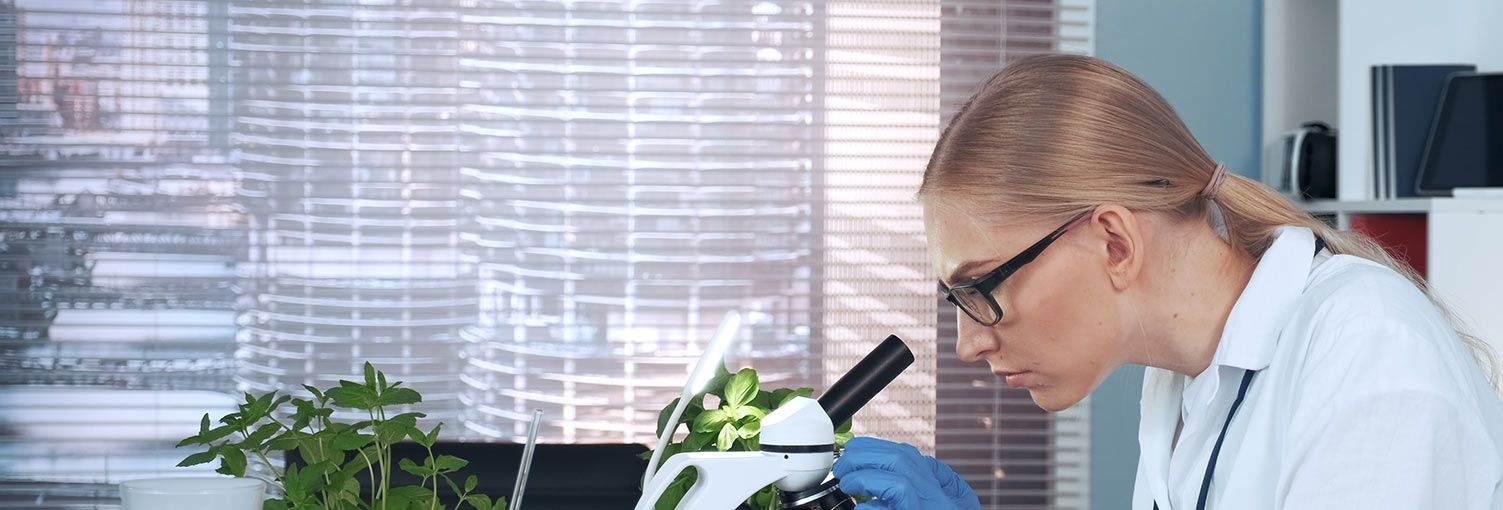 Compare Online Histology Programs: Top Accredited Schools in '24