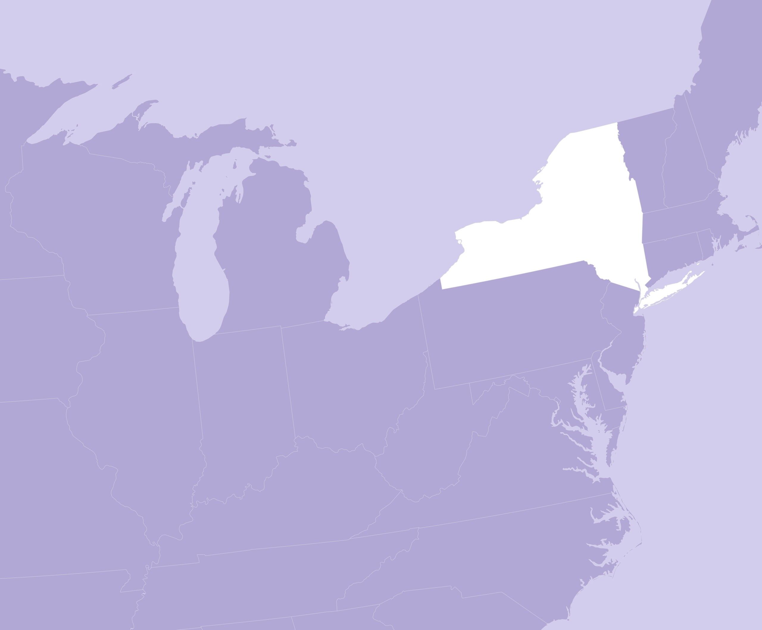 Online Medical Assistant Programs in New York: Best for 2024