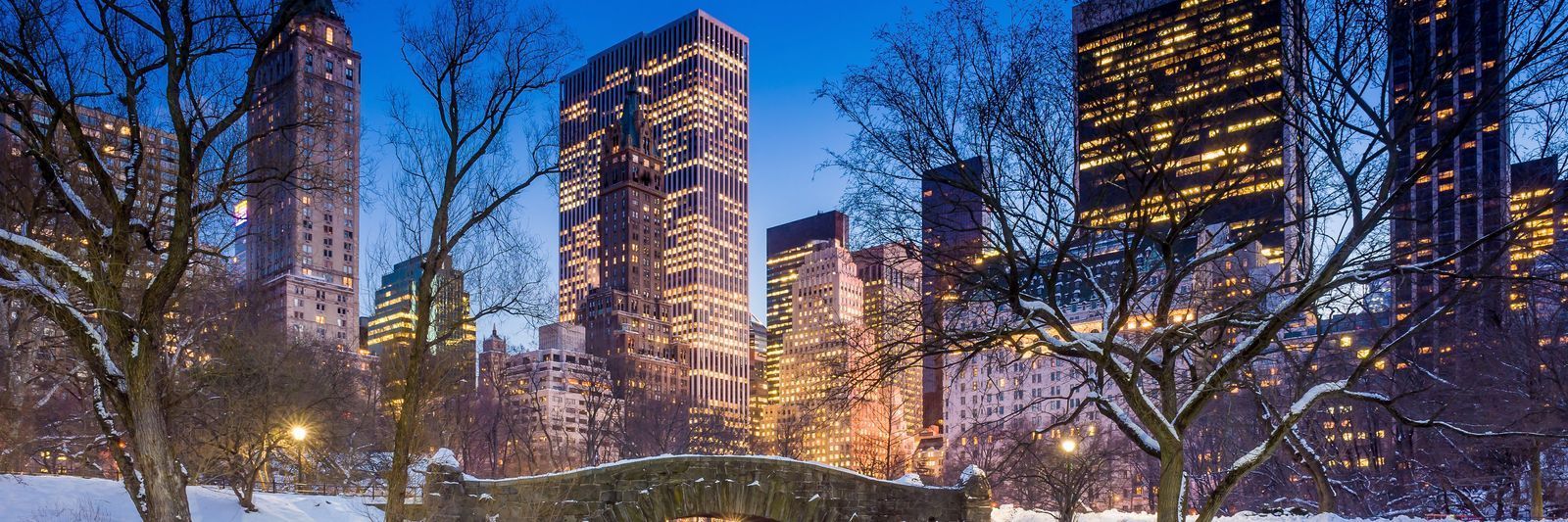 Inside Top Online Medical Billing & Coding Schools in New York