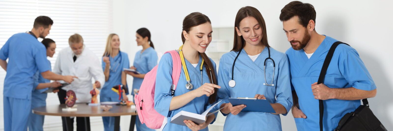 BSN to DNP Programs Online: Find the Right School