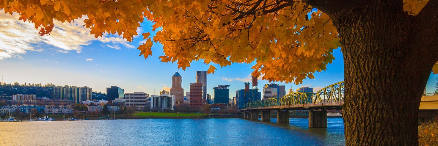 Oregon Medical Assistant Programs Online: Choosing a School