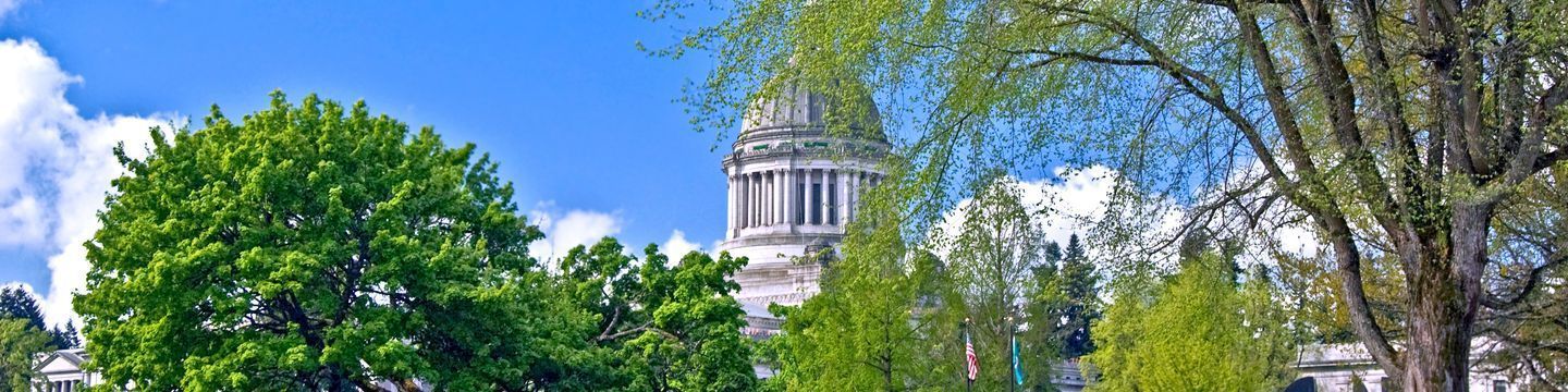 Online Medical Billing & Coding Programs in Washington: Choosing a School